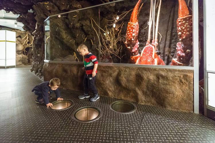 Explore the World at the Field - Field Museum