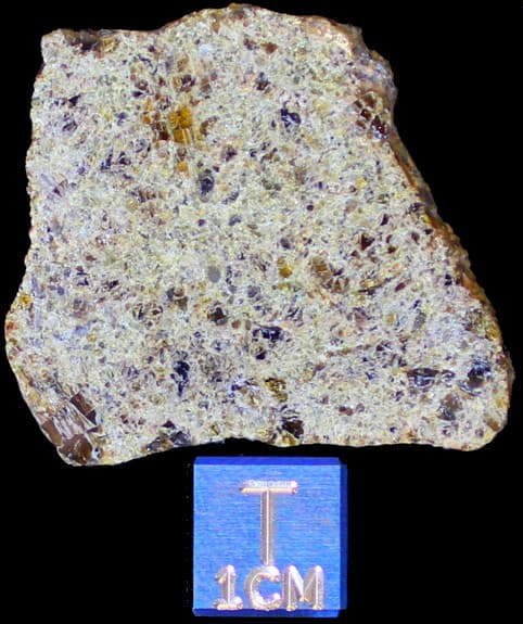 Terry Boudreaux donates unique meteorite to the Field Museum - Field Museum
