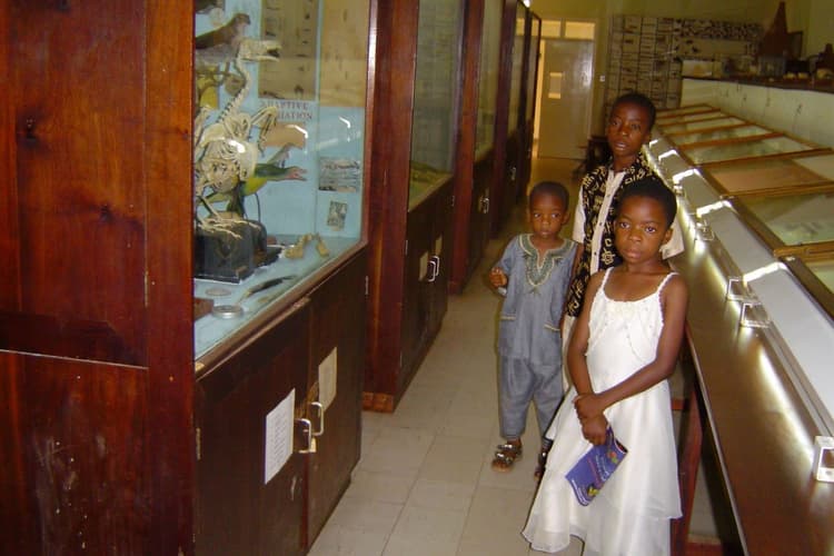 The Taxonomy of Candy - Field Museum