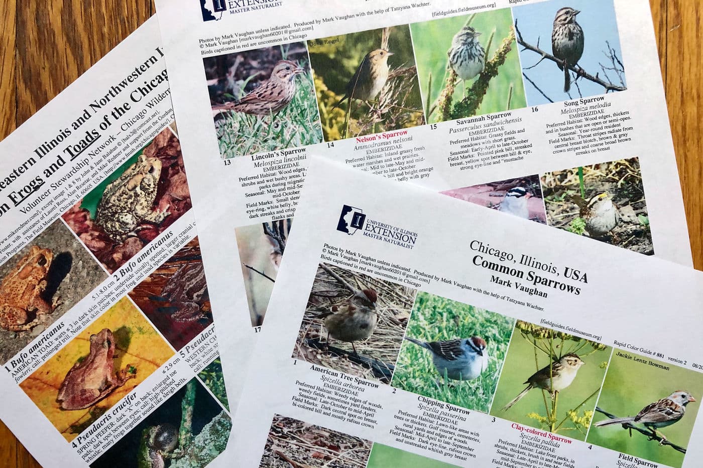 Explore the World at the Field - Field Museum