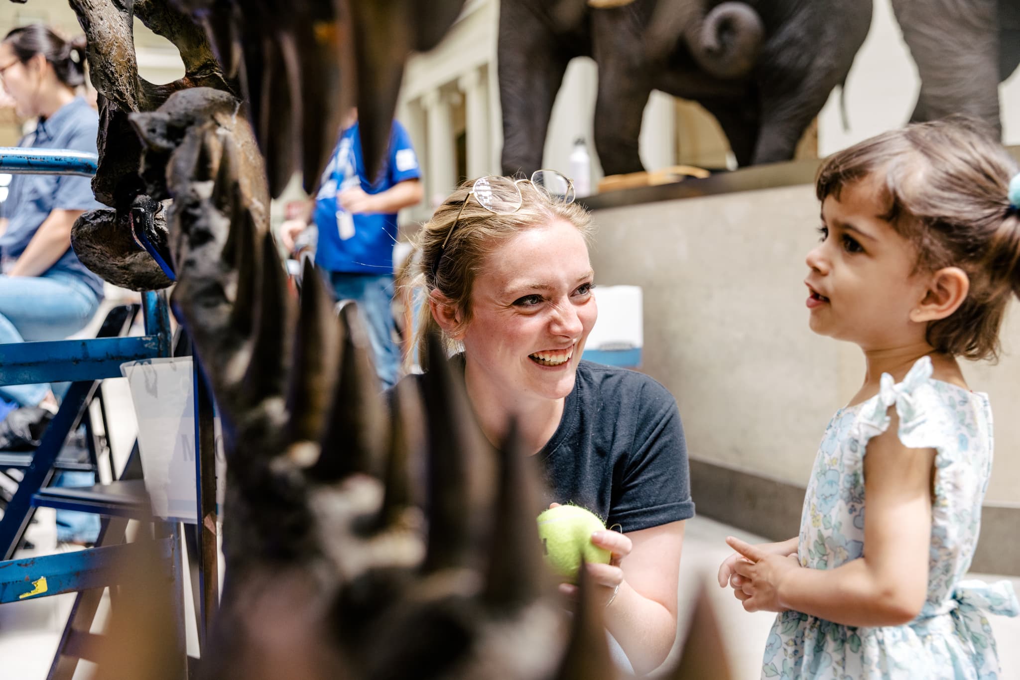 Explore the World at the Field - Field Museum