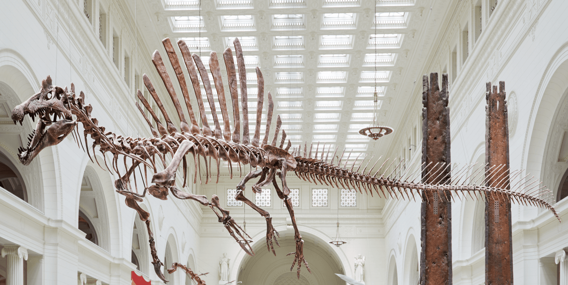 Fossil Hunting 101 - Field Museum