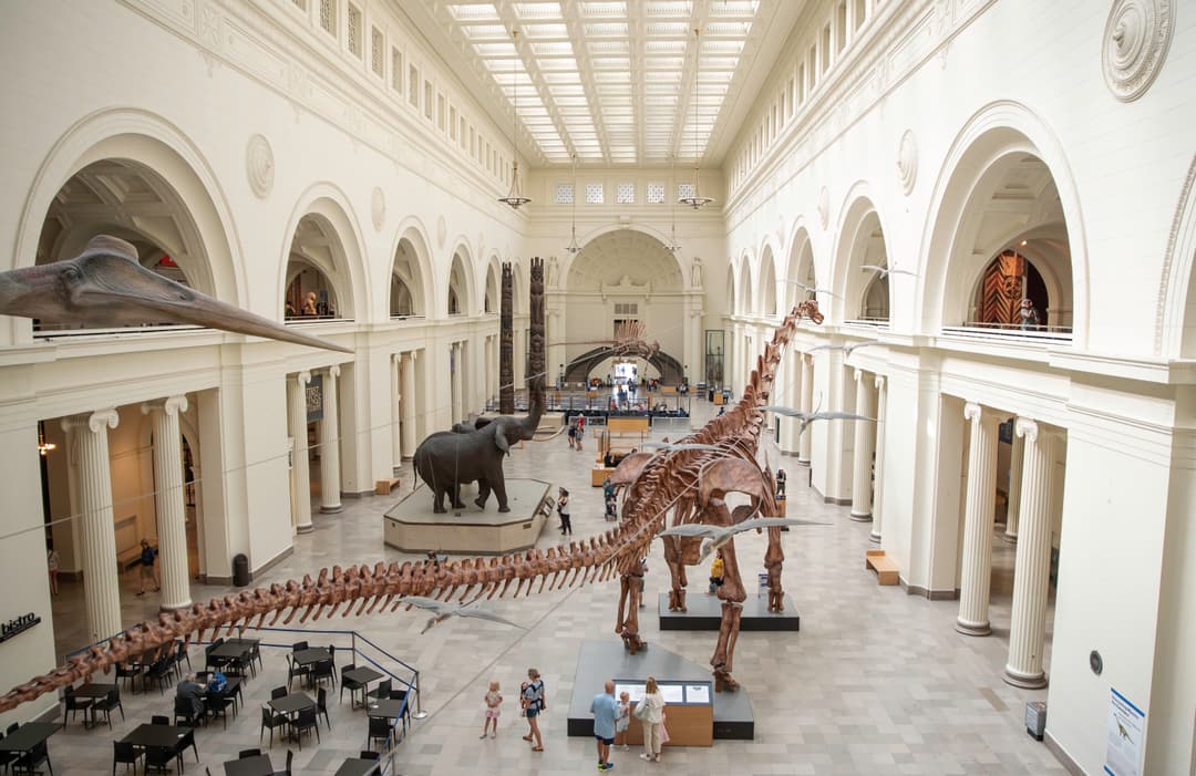 Explore the World at the Field - Field Museum