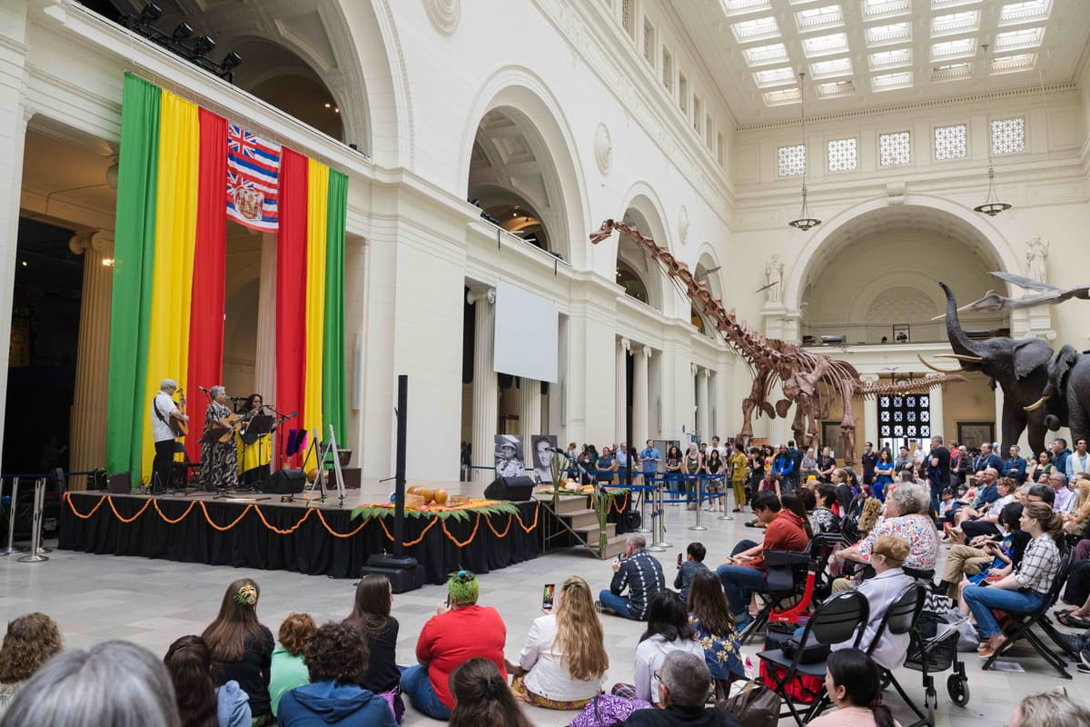 Explore the World at the Field - Field Museum
