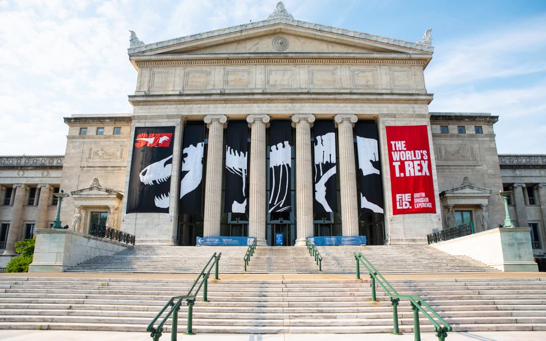 After 5 at the Field - Field Museum