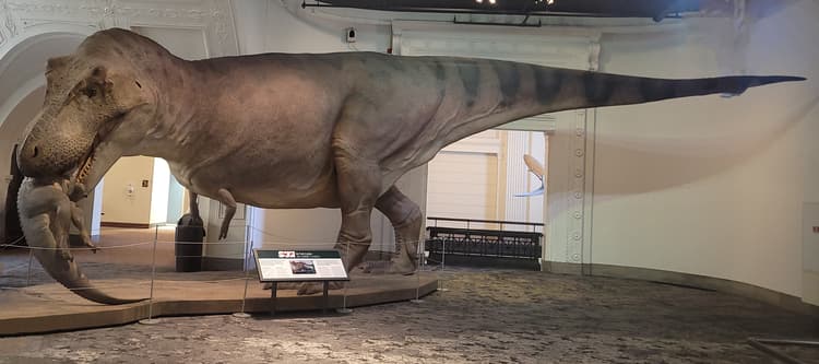 Explore the World at the Field - Field Museum