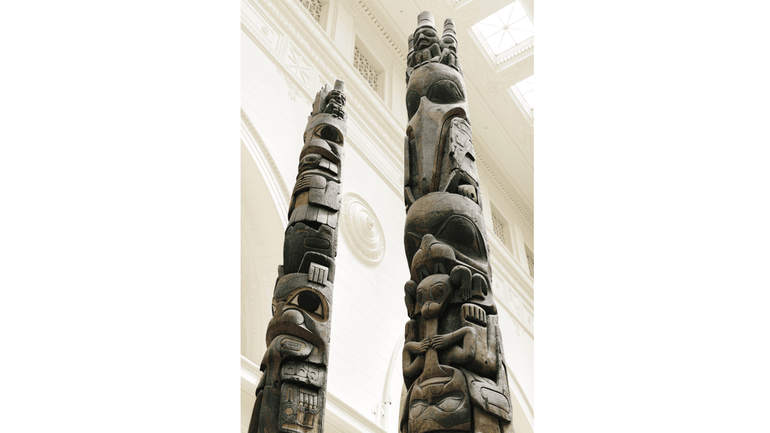 Field Favorites in ASL - Field Museum